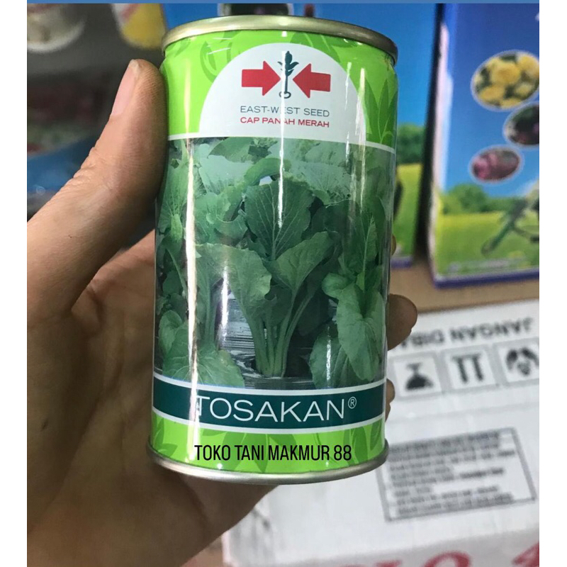 Jual Benih Sawi TOSAKAN kaleng Berat (100 gram) TOKO TANI MAKMUR 88 ...