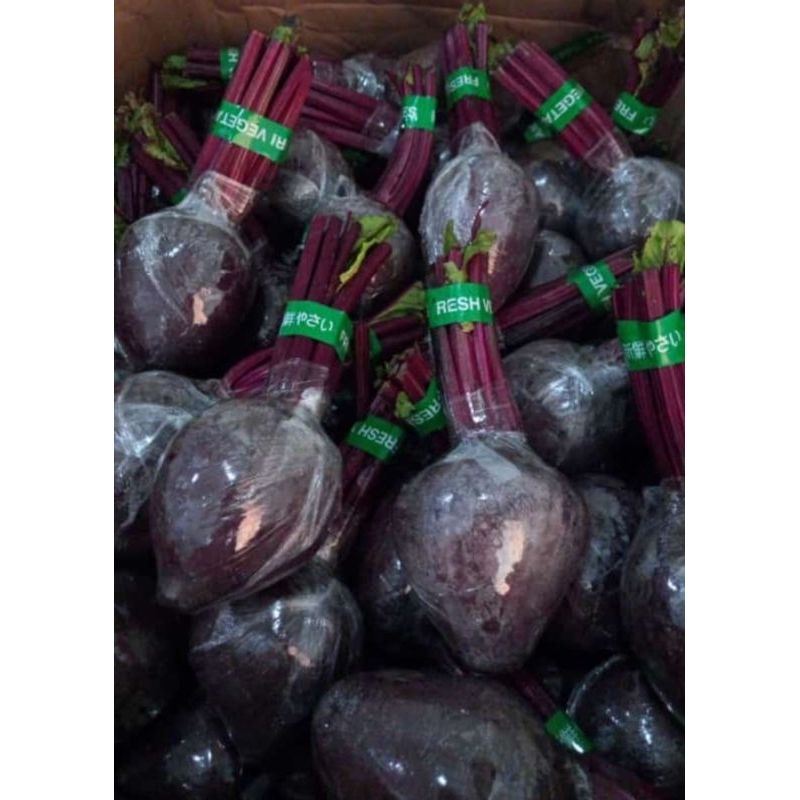 Jual buah bit/ beet root | Shopee Indonesia