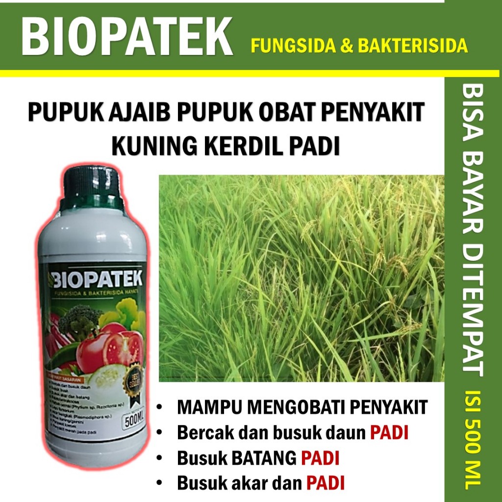 Jual BIOAPTEK Fungisida Hayati Obat Penyakit Padi Daun Kuning Ampuh ...