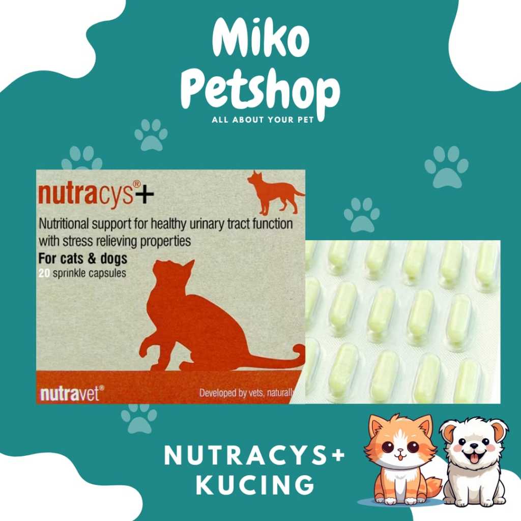 Jual NUTRACYS+ KUCING (1 TABLET) | Shopee Indonesia