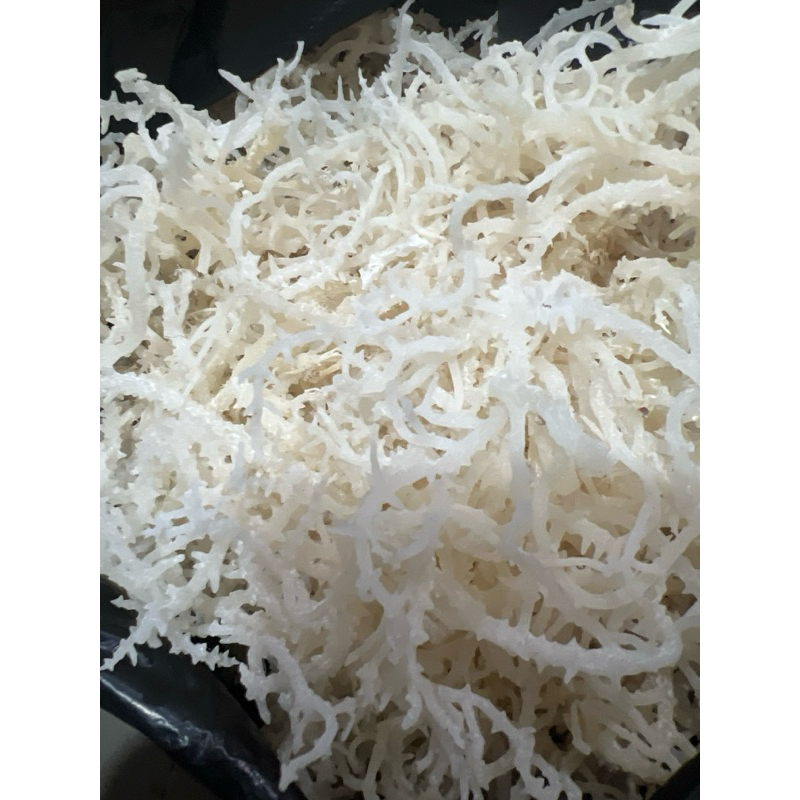 Jual Rumput Laut 1kg kering normal spinosum kenyal asli | Shopee Indonesia