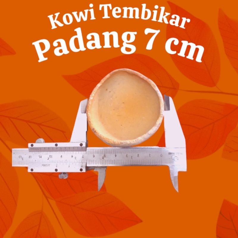 Jual KOWI TEMBIKAR PADANG Ukuran 7 cm ISI 10 Pcs | Shopee Indonesia