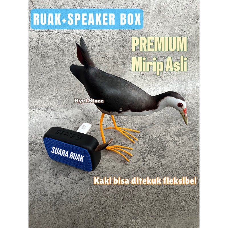 Jual Paket Patung Ruak Ruak & Speaker Box Masteran Kareo Padi | Shopee ...