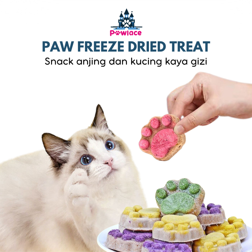 Jual Paw Freeze Dried Chicken Meat Treat | Daging Kering Jerky Snack ...