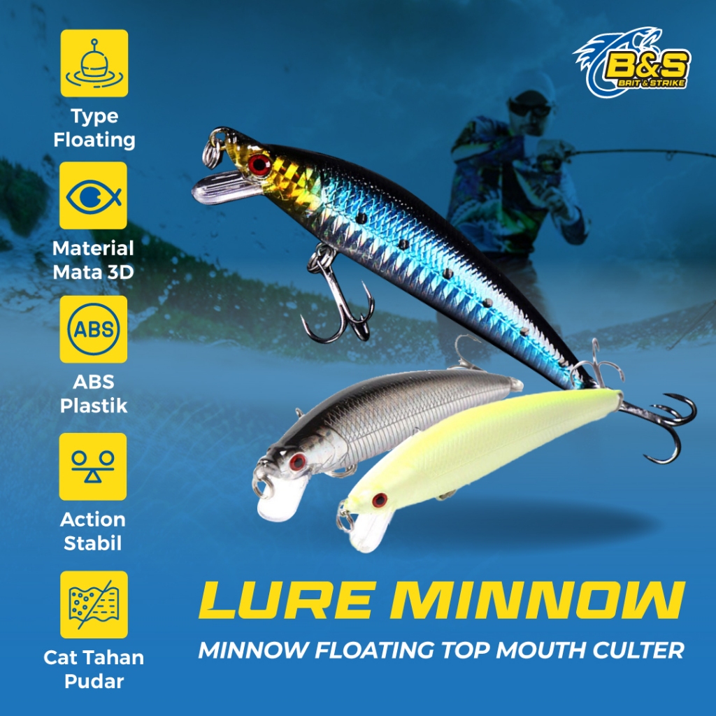 Jual Umpan Pancing Lure Minnow floating 12g/12cm lure minnow topmouth ...