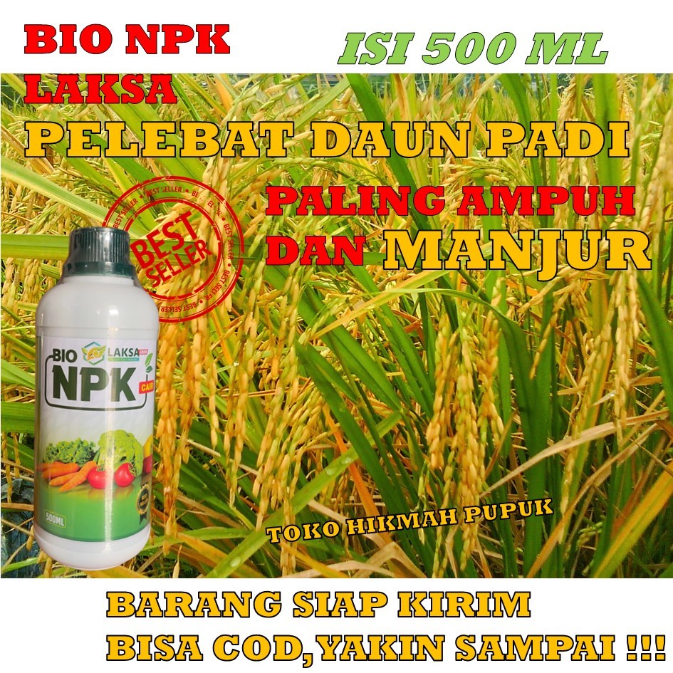 Jual Pupuk Pelebat Padi NPK LAKSA 500 Ml - Obat Pelebat Pepaya Anakan Padi Anti Penyakit Dan ...