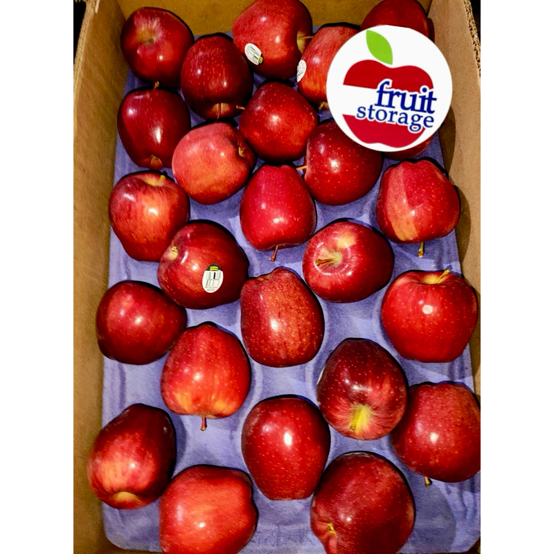 Jual Apel Red Delicious Red Del Import Washington 1kg sweet manis fresh premium USA Afrika ...