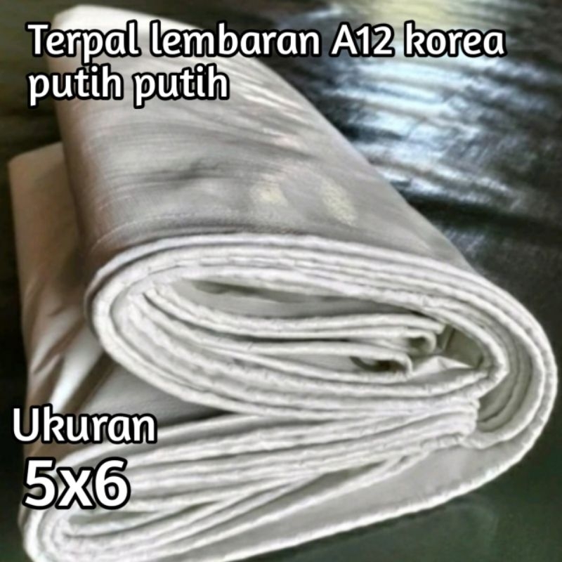 Jual Terpal lembaran A12 putih putih ukuran 5x6 | Shopee Indonesia