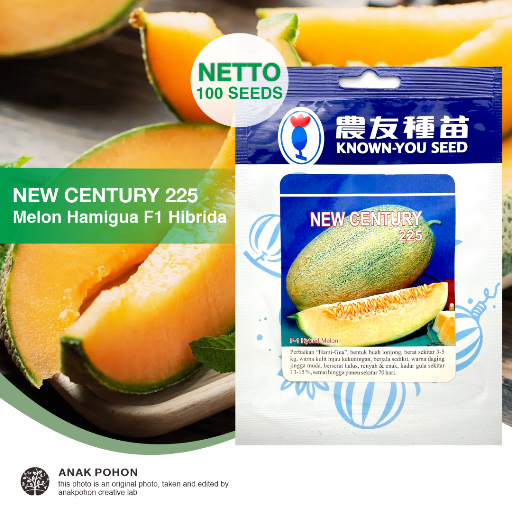 Jual (1 PACK - 100 SEEDS) Benih Melon Hami Hamigua NEW CENTURY 225 ...