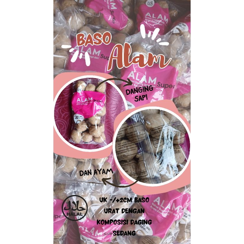 Jual SYAHIRAH FROZEN - Baso Alam Super UB isi 20 Kombinasi Daging Sapi ...