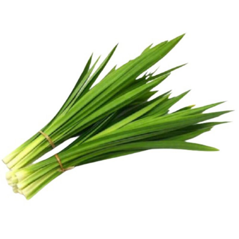 Jual Daun pandan wangi segar per ikat 500 gram dipetik saat ada pesanan ...