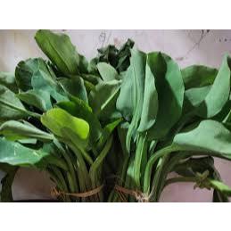 Jual daun genjer | Shopee Indonesia