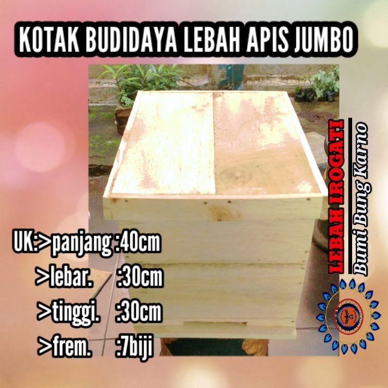 Jual KOTAK BUDIDAYA LEBAH APIS JUMBO BISA UNTUK APIS MELIFERA | Shopee ...