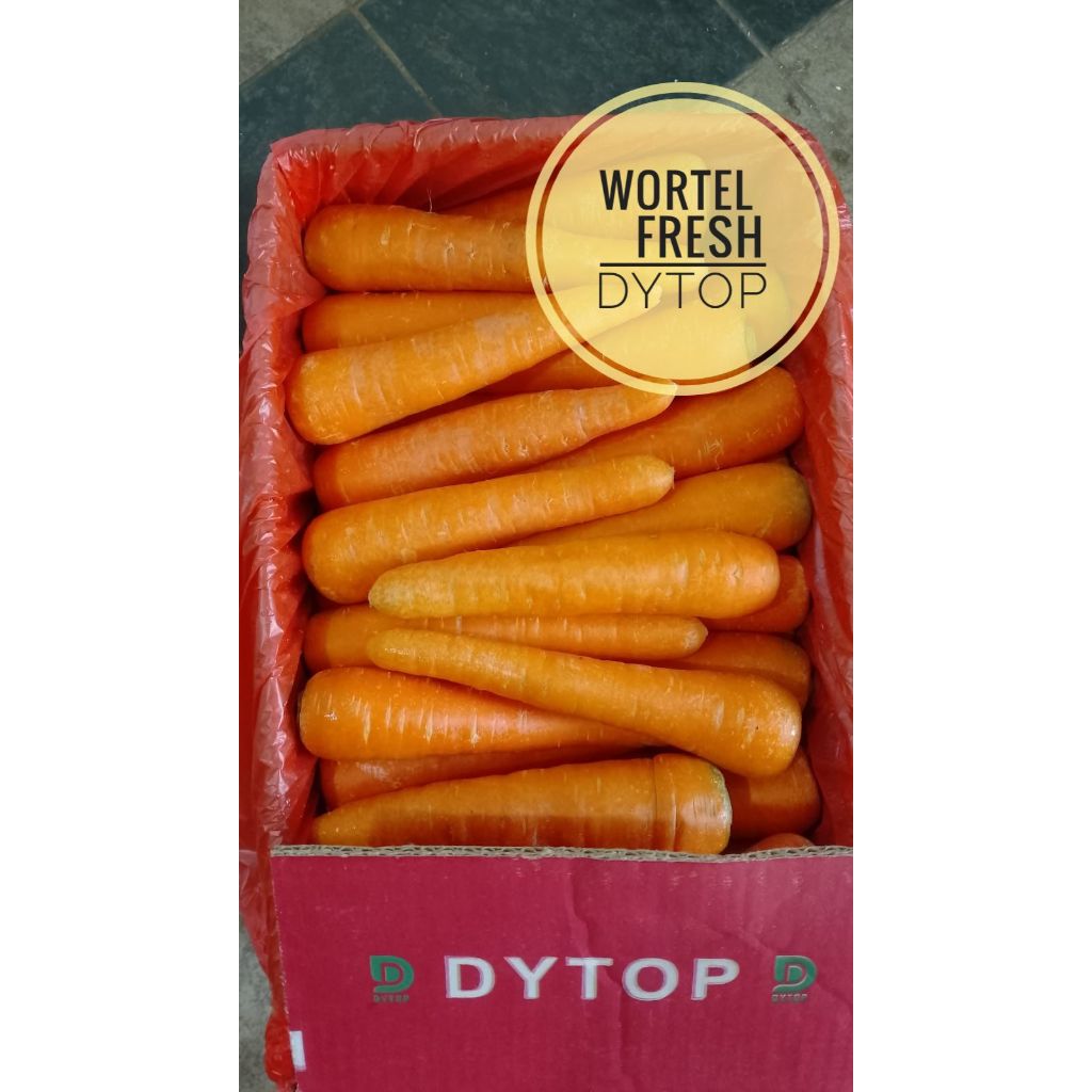 Jual Wortel Berastagi Wortel Kualitas Premium Wortel Import - Dus Isi ...