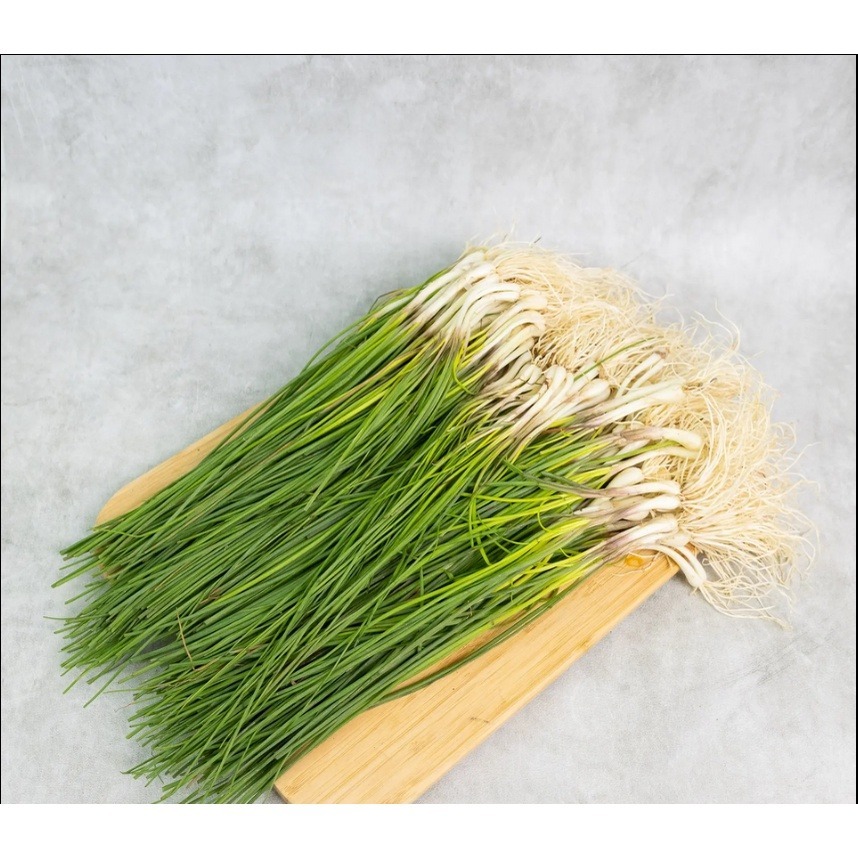 Jual lokio 250 gram | Shopee Indonesia