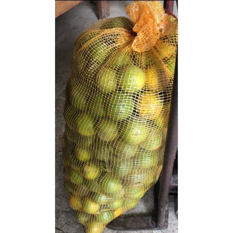 Jual Jeruk Peras Pacitan Baby Java 1 kg | Shopee Indonesia