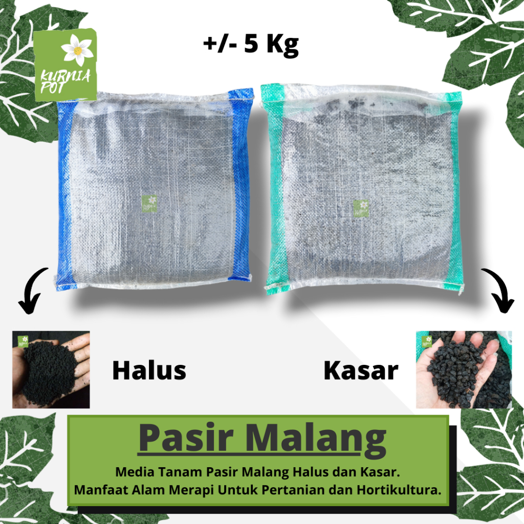 Jual Pasir Malang Halus Kasar Media Tanam Tanaman Bonsai Aquascape ...