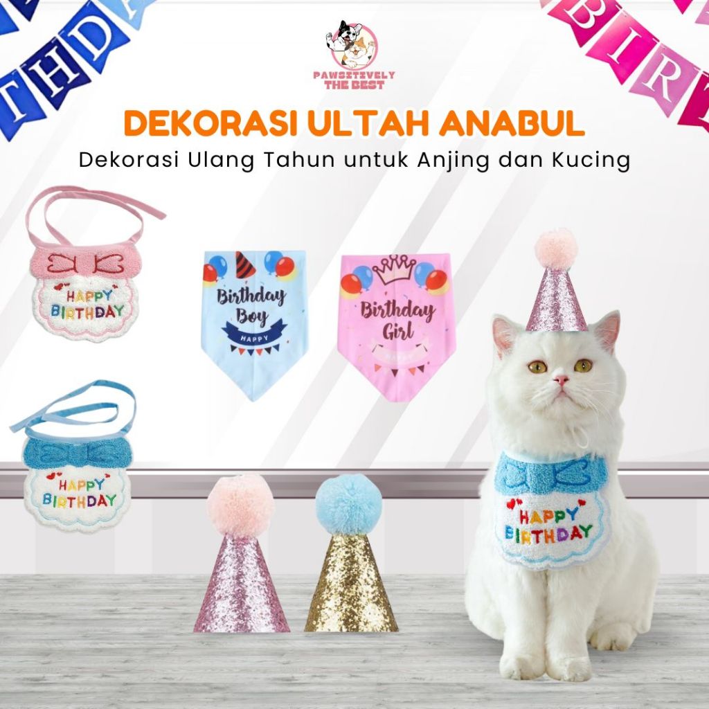 Jual Dekorasi Lucu Anabul - Accessories dan Dekorasi Ultah Untuk Anjing dan Kucing - Topi Pesta ...