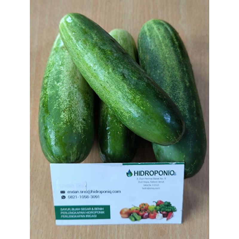Jual Timun Acar Organik 1kg | Shopee Indonesia