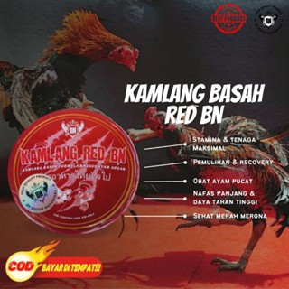 Jual KAMLANG BASAH ayam aduan RED BN ayam siap tarung adu bagus untuk pemulihan obat luka dalam ...