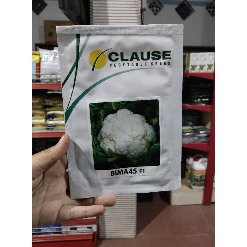 Jual Benih Bunga Kol Bima 45 F1 10 gram Clause bibit sayur kembang ...
