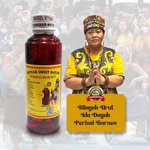 Jual Minyak Pijat Urut Bintang Ibu Ida Dayak Perisai Borneo Asli ...