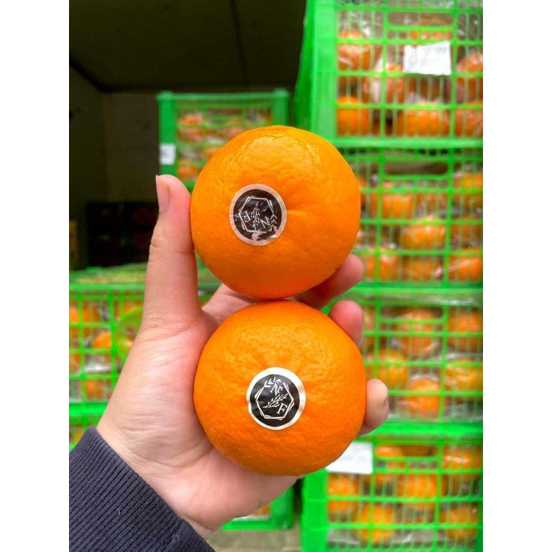 Jual Jeruk Wokam Jeruk wogan Fresh 1kg | Shopee Indonesia