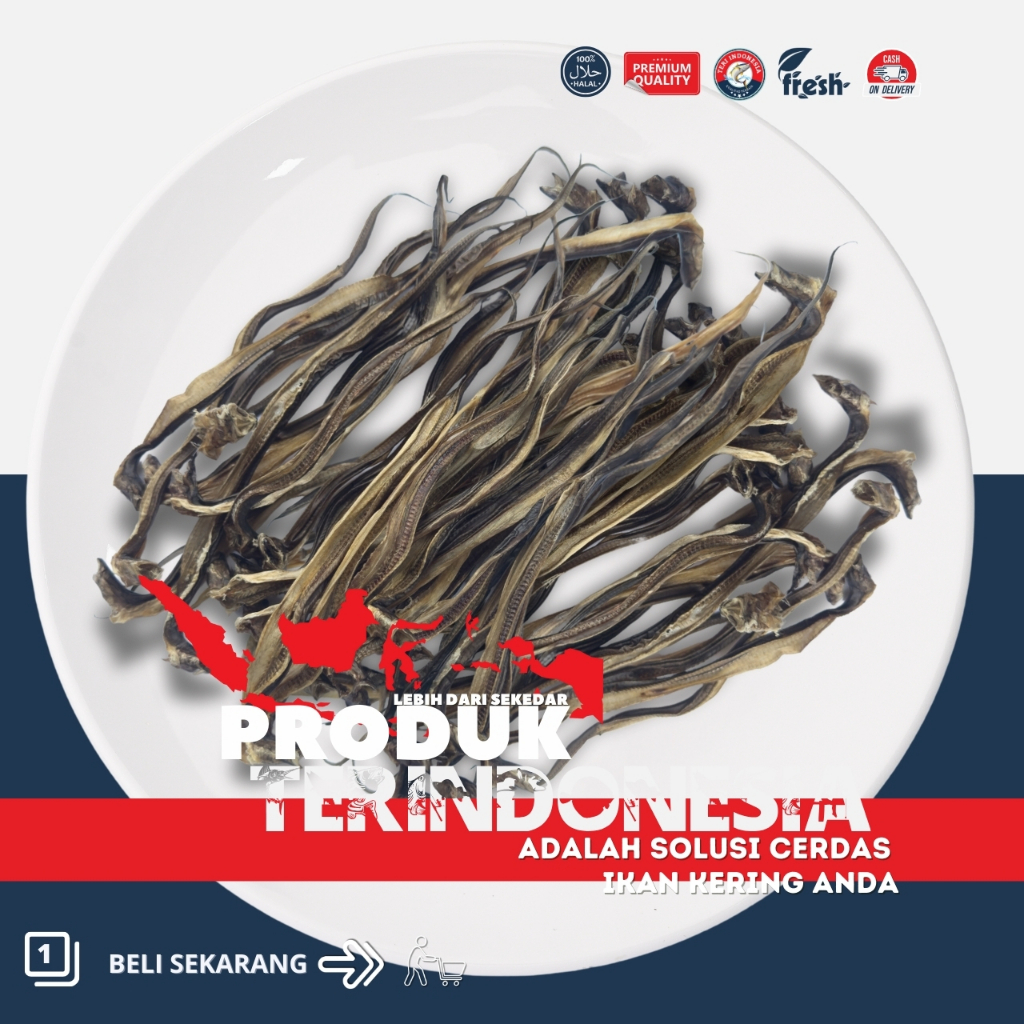 Jual Belut Kering 100% Tawar Premium Terindonesia | 25 - 100 ekor ...