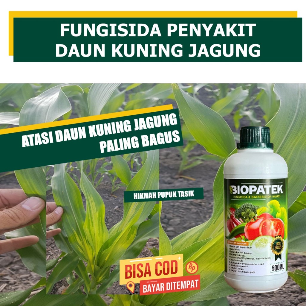 Jual COD BIOPATEK FUNGISIDA BAKTERISIDA HAYATI OBAT ATASI HAMA VIRUS ...