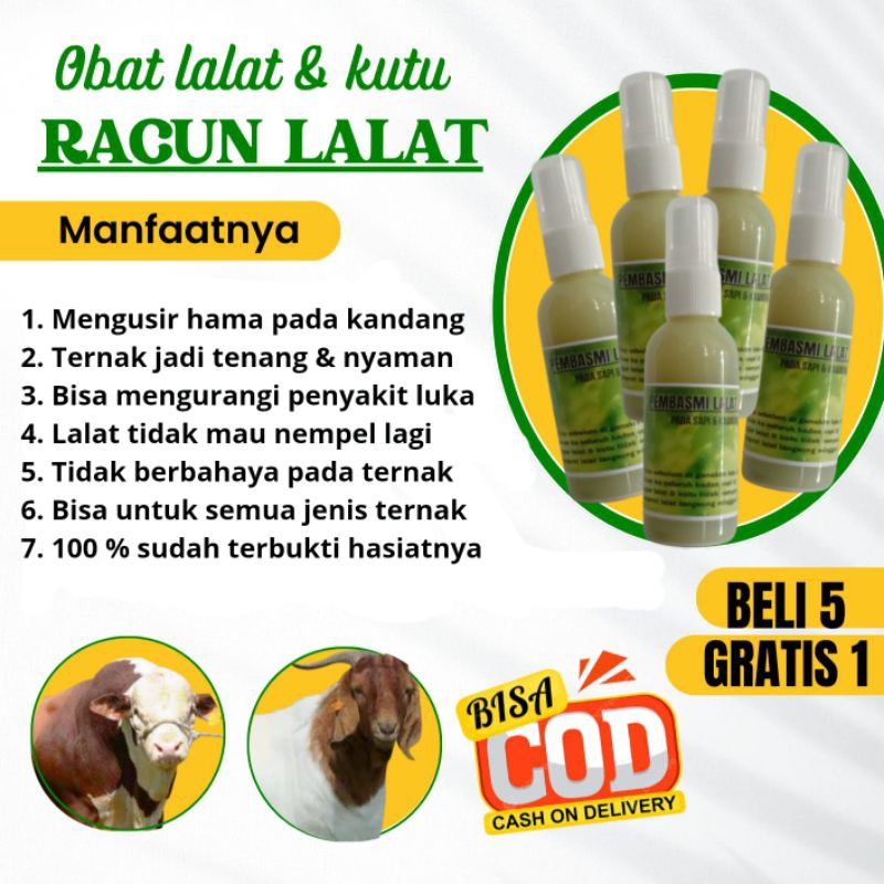 Jual Obat Lalat Sapi Pembasmi Lalat Pada Sapi Obat Kutu Sapi Obat Kutu ...