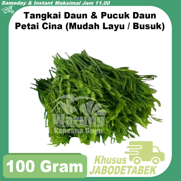 Jual Tangkai Daun Tua Dan Pucuk Muda Daunnya Petai Cina 100 Gram ...