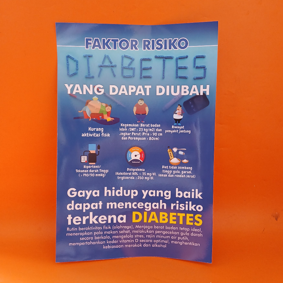 Jual Poster Faktor Risiko Diabetes Yang Dapat Diubah - Cegah Risiko ...