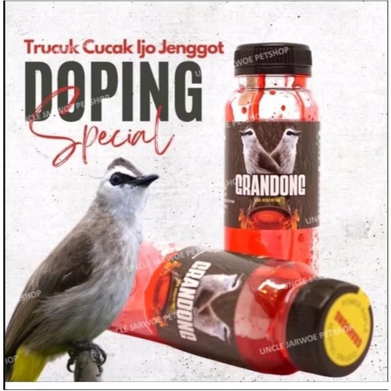 Jual GRANDONG Doping Burung Trucukan Cucak Ijo Jenggot Kapas Tembak ...