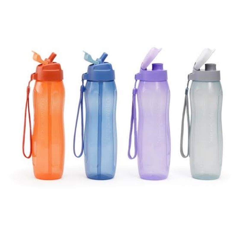 Jual Botol Anak Sekolah Lucu Trendy Eco Bottle 750 ml with Straw & Flip ...
