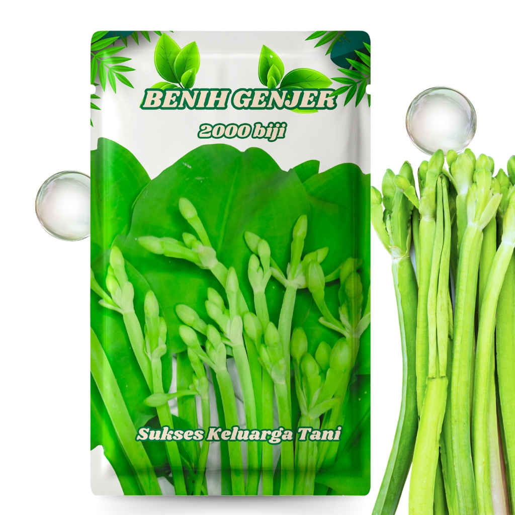 Jual Bibit Benih Genjer 2000 Biji | Shopee Indonesia