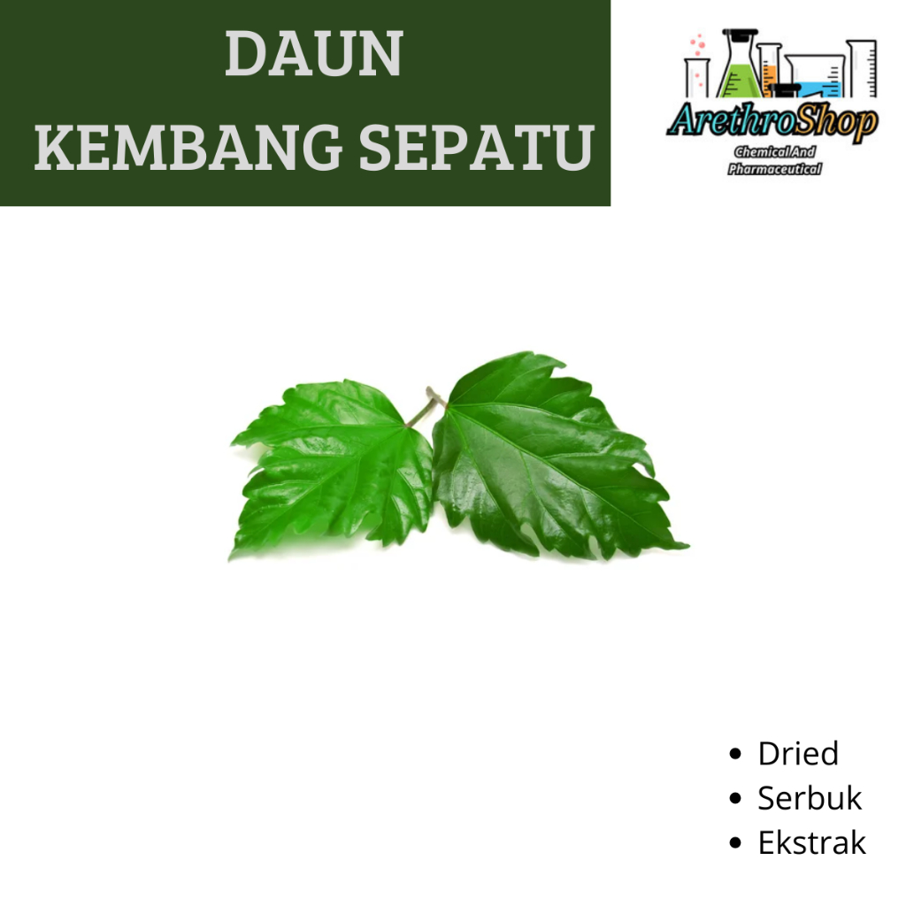 Jual EKSTRAK DAUN KEMBANG SEPATU 10 GRAM BEST PRODUCT | Shopee Indonesia