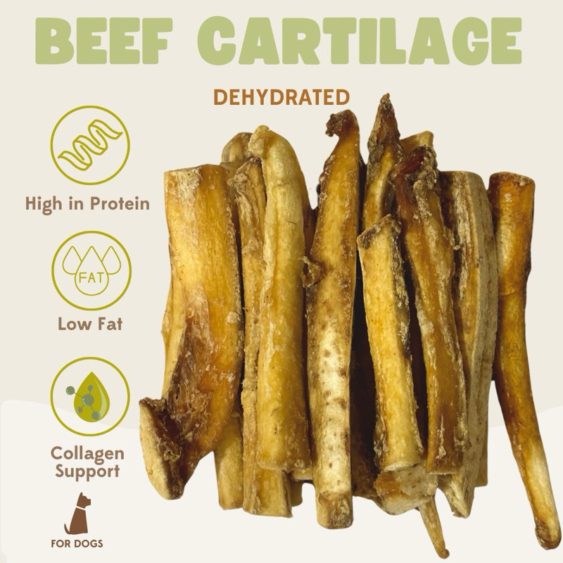 Jual 3-5pc BEEF CARTILAGE Dog Hard Chew /Natural Air Dried Treats ...