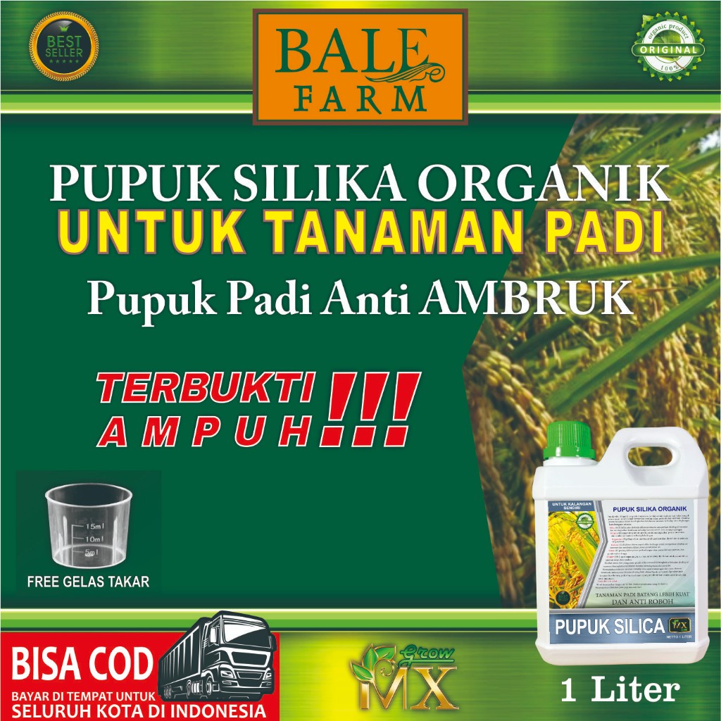 Jual PUPUK SILIKA ORGANIK CAIR UNTUK TANAMAN PADI 1 LITER / Pupuk Padi ...