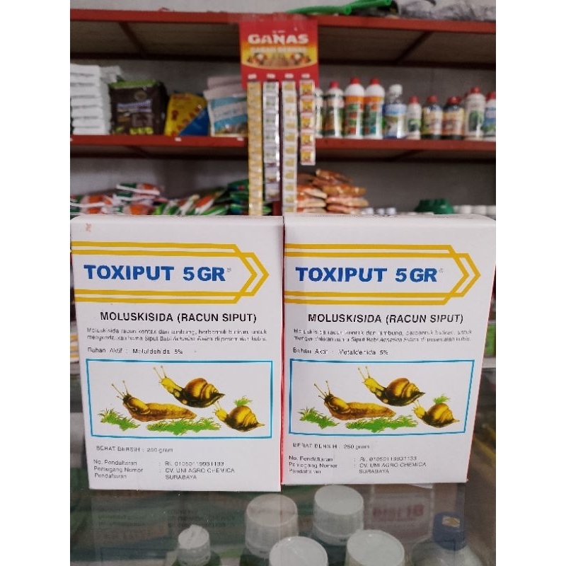 Jual TOXIPUT RACUN KEONG 5GR - 250GRAM | Shopee Indonesia