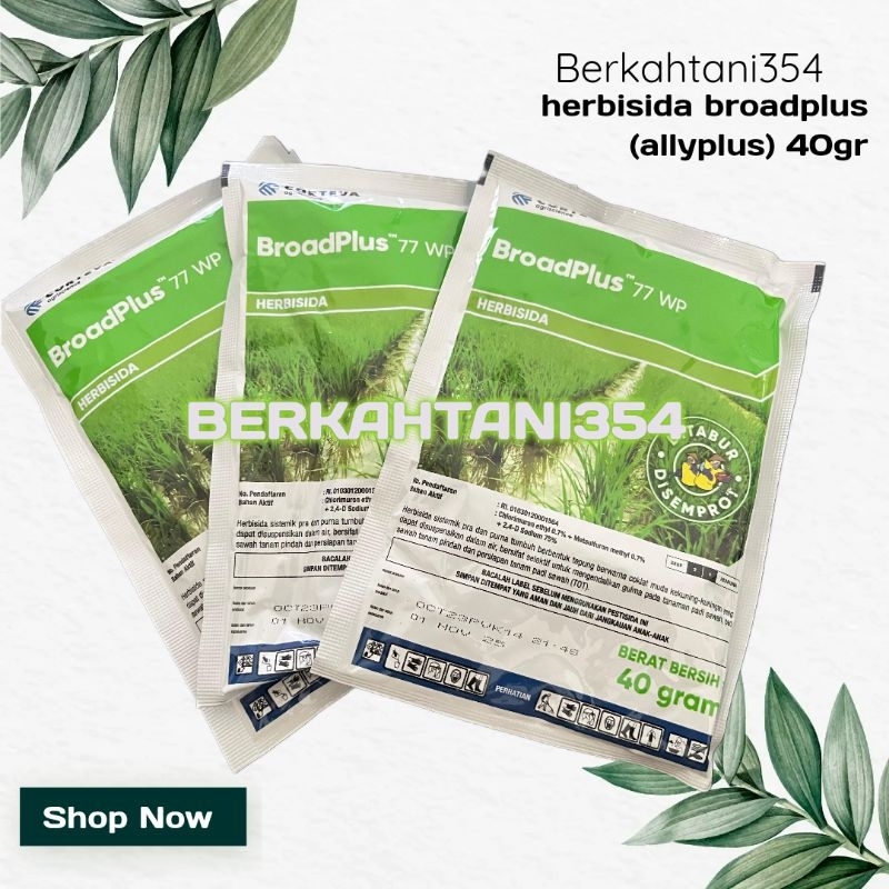 Jual Obat pembasmi rumput Herbisida Rumput dan gulma pada Tanaman Padi ...