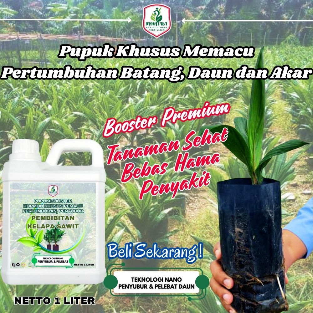 Jual Pupuk Penyubur Daun Dan Batang Bibit Sawit Pupuk Untuk Kecambah Sawit Pupuk Daun Bibit ...