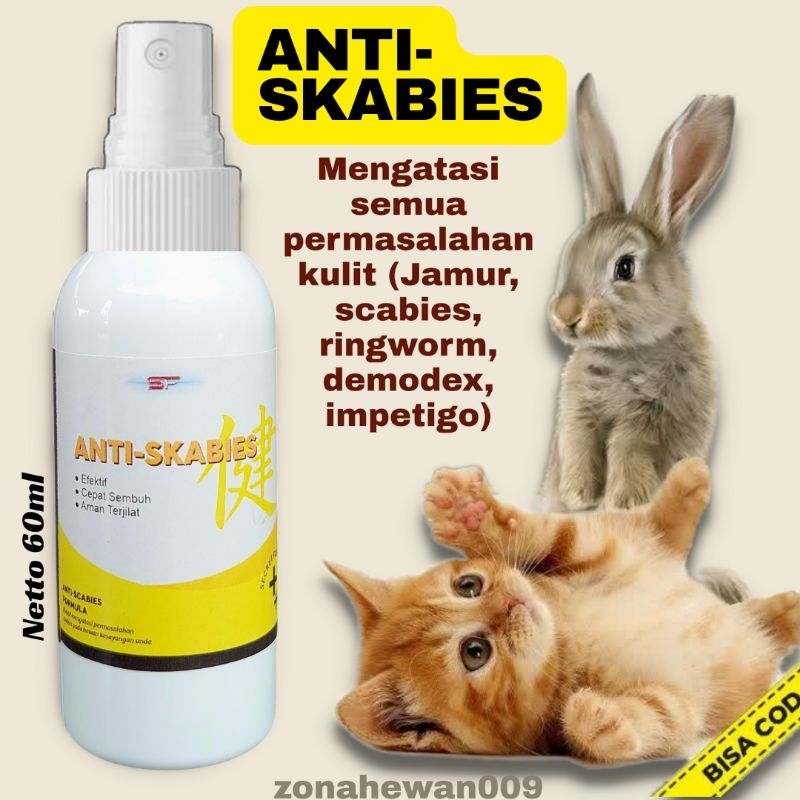 Jual Obat Jamur Kucing Anti Skabies Obat Luka Kucing Kutu Gatal Kulit ...