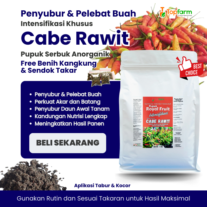 Jual Pupuk Cabe Rawit Terbaik / Pupuk Pelebat Buah Cabe Rawit / Pupuk Cabe Rawit Agar Berbuah ...