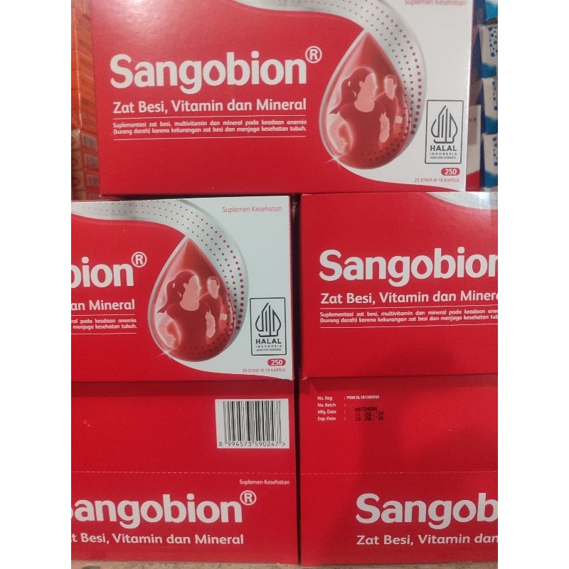 Jual Sangobion 1 box 25 Strip Exp 2026 | Shopee Indonesia