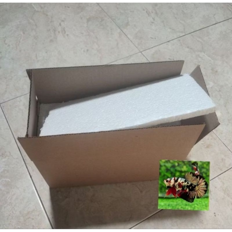 Jual BOX PACKING ( A) | Shopee Indonesia