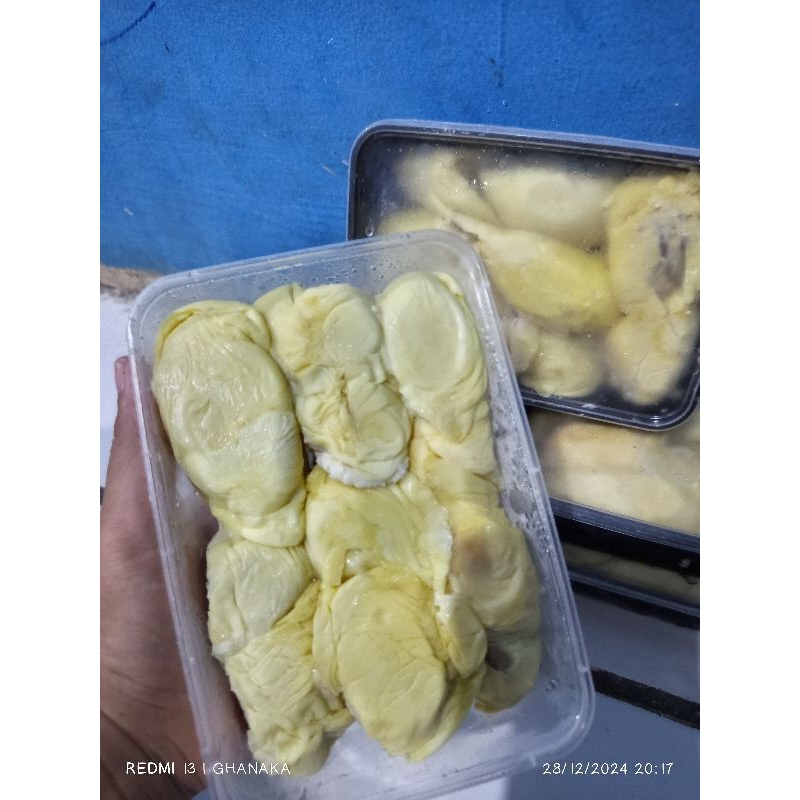 Jual durian Durian nias Padang Sumatera | Shopee Indonesia