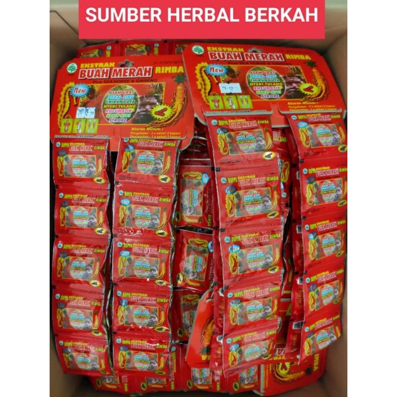 Jual PAKET 100 HANGER BUAH MERAH RIMBA ORIGINAL | Shopee Indonesia