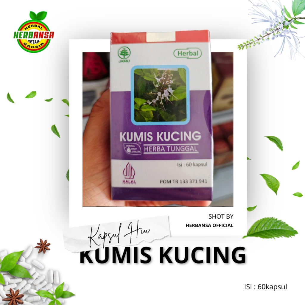 Jual Hiu Kapsul Kumis Kucing (60kapsul) Obat Batu Ginjal dan Saluran ...
