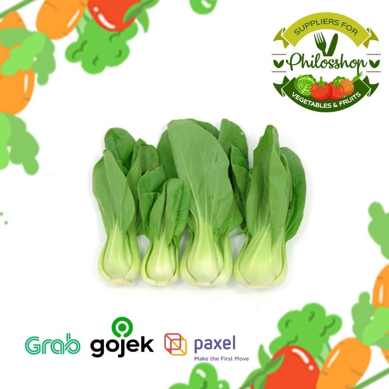 Jual PAKCOY / SAYUR PAKCOY / BOK CHOI | Shopee Indonesia