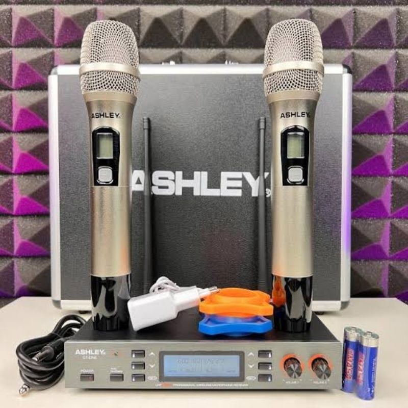 Jual Wireless Microphone ASHLEY CT-ONE [ ANTI FEEDBACK ] | Shopee Indonesia